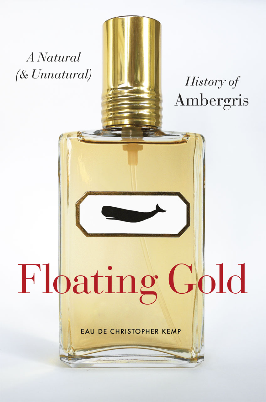 Ambergris, the Perfume of Whales that once Scented Foods | Manuscript ...